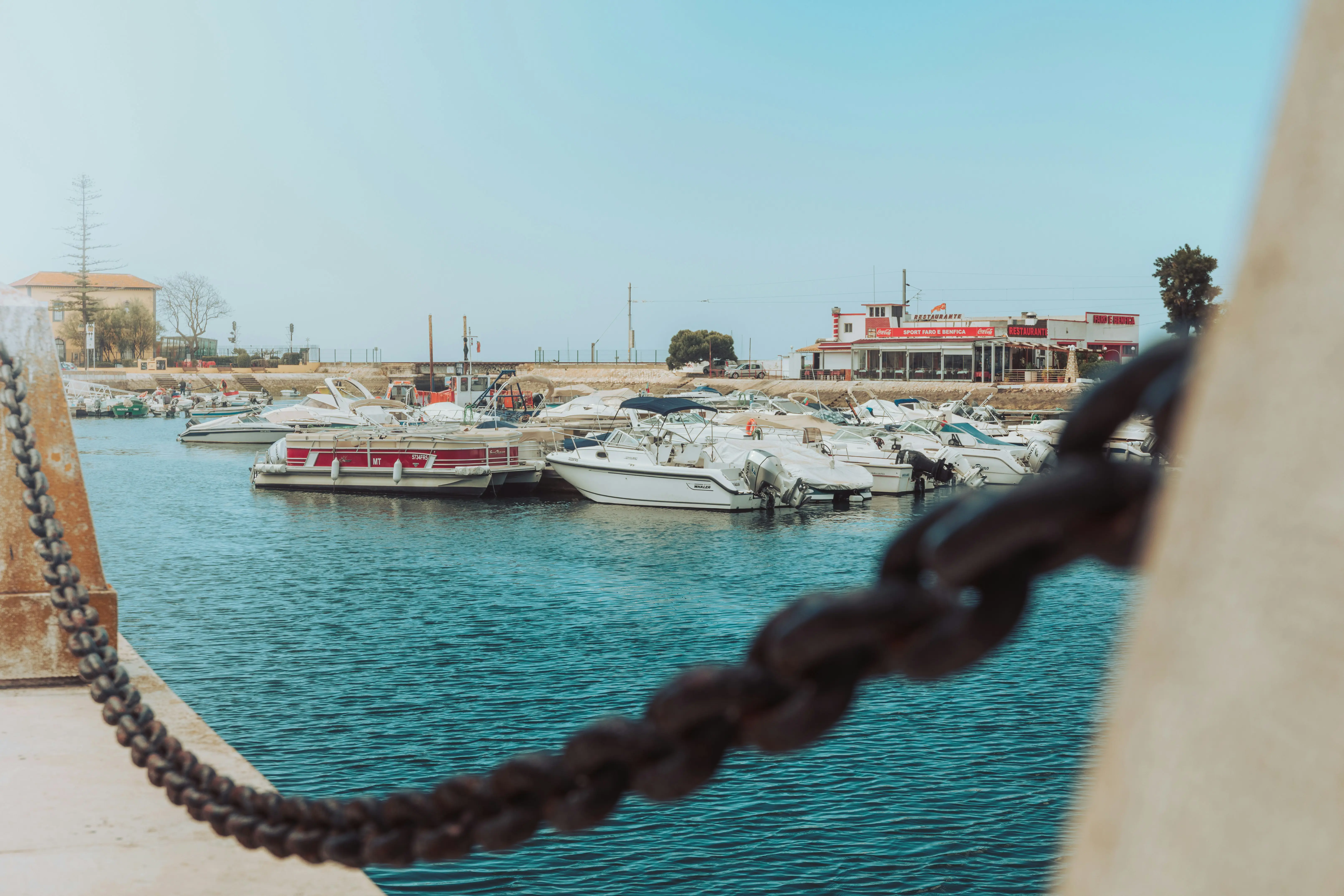 The BEST Tours in Faro!